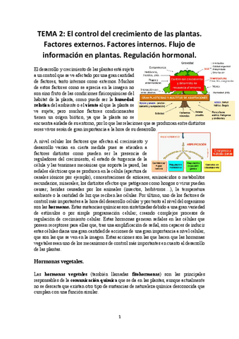 TEMA-2-FISIO-VEGETAL.pdf
