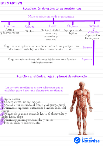 Anatomia-por-la-imagen.pdf