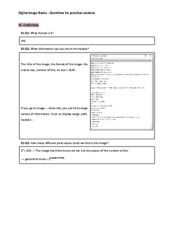 ImageJ Practical questions.pdf