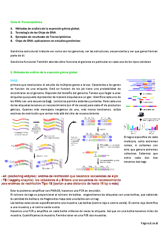 ap.tema-6-Gencentmica-estructural.pdf