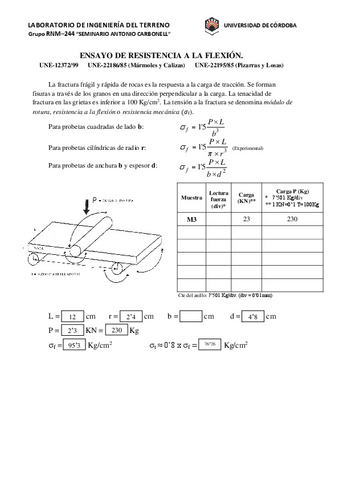 8.-Resistencia-a-la-Flexion.pdf