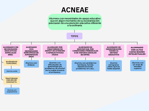 Tipos-de-ACNEAE..pdf