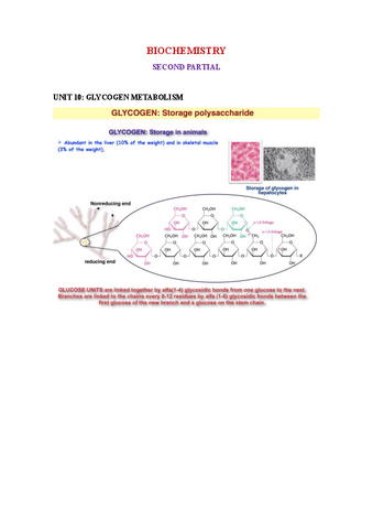 Biochemistry-Important-Notes.pdf