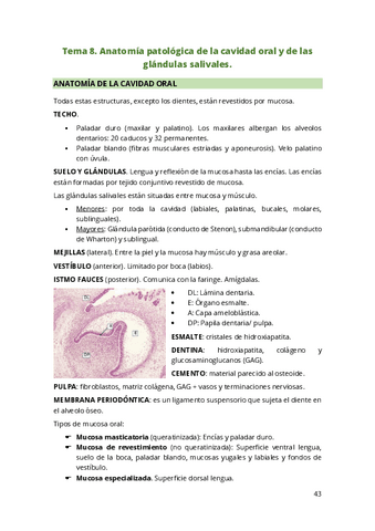 Tema-8.-Anatomia-patologica-de-la-cavidad-oral-y-de-las.pdf