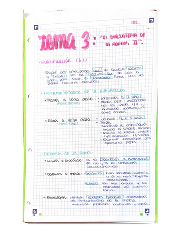 TEMA-3-IEE.pdf