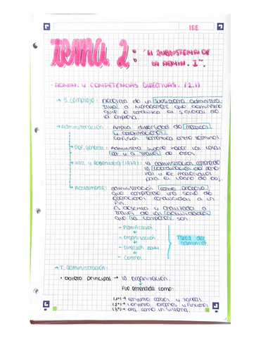 TEMA-2-IEE.pdf