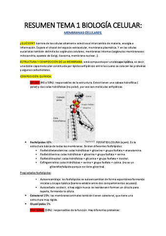 RESUMEN-TEMA-1-BIOLOGIA-CELULAR.pdf