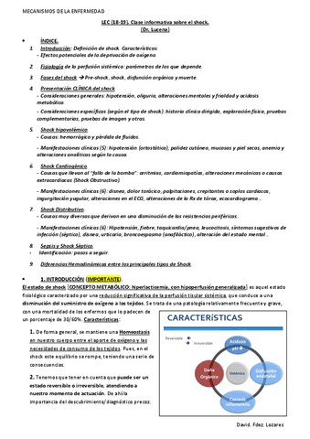 LEC-18-19.-Clase-informativa-sobre-el-shock..pdf