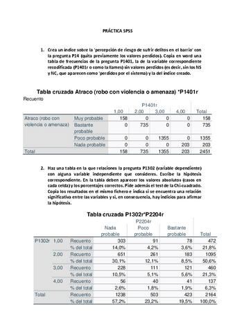 PRACTICA-SPSS.pdf