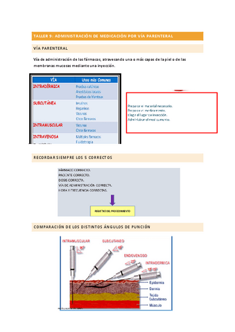 TALLER-9-CUIDADOS-BASICOS-PDF.pdf