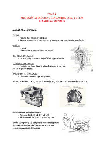 TEMA-8-ANAT-PATO-DE-CAVIDAD-ORAL.pdf