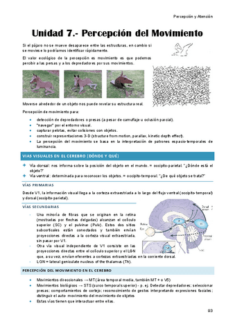 unitat-7-percepcio.pdf