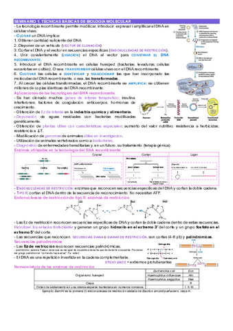 Seminario-1- TÉCNICAS BÁSICAS DE BIOLOGÍA MOLECULAR.pdf