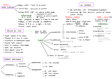 Esquemas-Tema-1-10.pdf