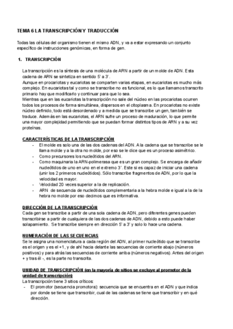TEMA-6-LA-TRANSCRIPCION.pdf
