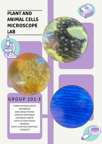 Plant-and-Animal-Cells-Microscope-Lab-Practice.pdf