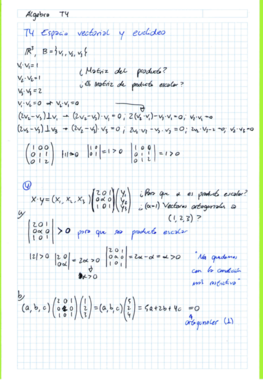 Algebra Tema 4 (escaneado).pdf
