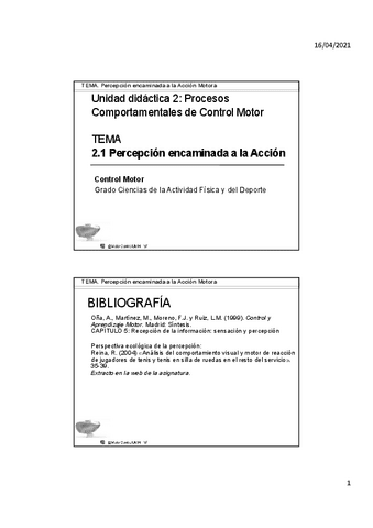 Tema-21Percepcion-y-accion-1.pdf