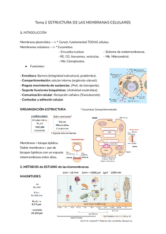 Tema-2-ESTRUCTURA-DE-LAS-MEMBRANAS-CELULARES.pdf