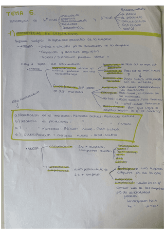 FADE.ESQUEMA-TEMA-6.pdf