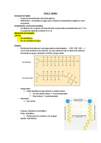 Tema 3 - Lípidos.pdf