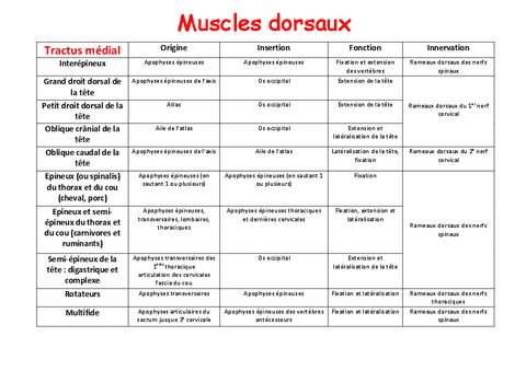 Tableau-muscles-Anat-1.pdf