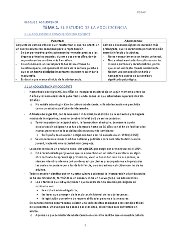 T1-PDAAV.pdf