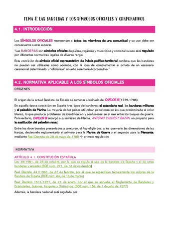 Tema-4-Protocolo.pdf