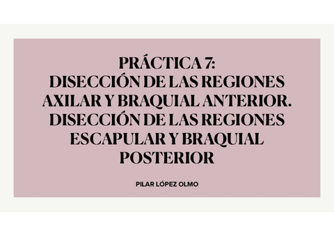 practica7.pdf