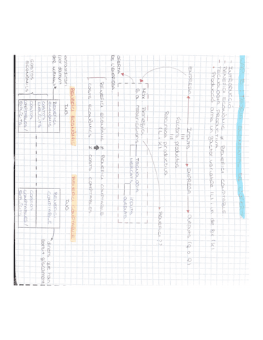 Cap.5.pdf