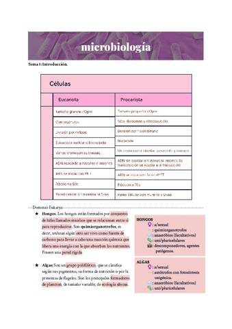 MICRO-TEMA-1-RESUMEN.pdf