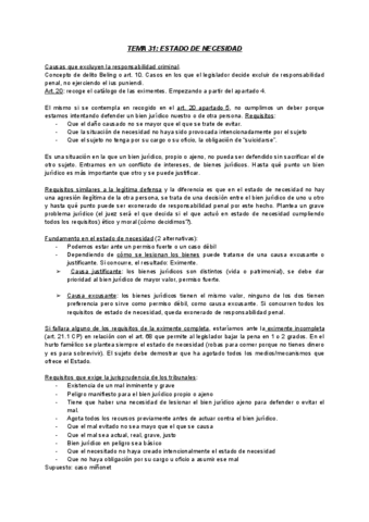 Tema-31.pdf