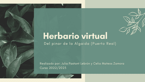 Herbario-Virtual.pdf