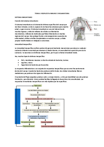 fisio-t6-t8.pdf