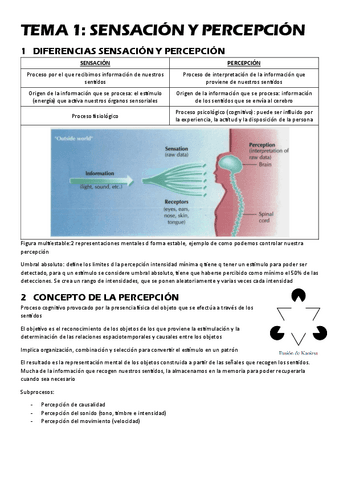 TEMA-1.-Sensacion-y-percepcion.pdf