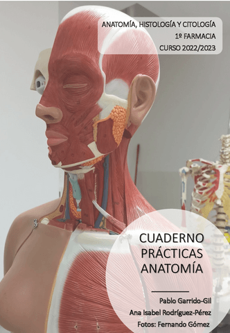 Guion-practicas-anatomia-completo-y-corregido.pdf