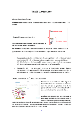 Tema-21-micro.pdf
