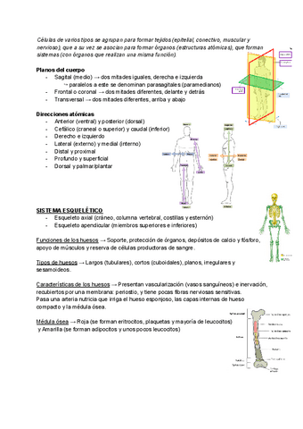 T1-Introduccion-y-conceptos-basicos.pdf