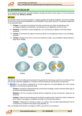 02.ANAT.T1RECONOCIM.2.2PRO.desbloqueado.pdf