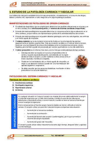 08.ANAT.T5.5y5.6AP.CARDIOC.PRO.desbloqueado.pdf
