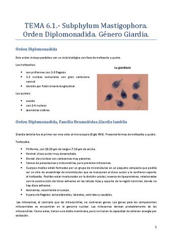 6.1Subphylum-Mastigophora.-Orden-Diplomonadida.-Genero-Giardia..pdf