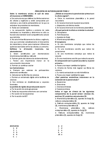 Autoevaluacion-tema-2.pdf