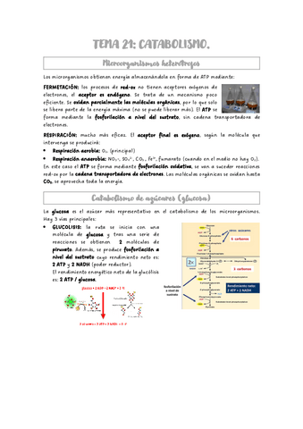 TEMA-21-micro.pdf