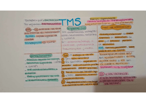 TMS.pdf