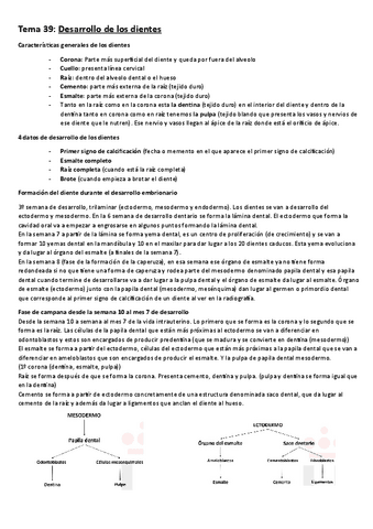 Anatomia Todo 2º cuatri.pdf