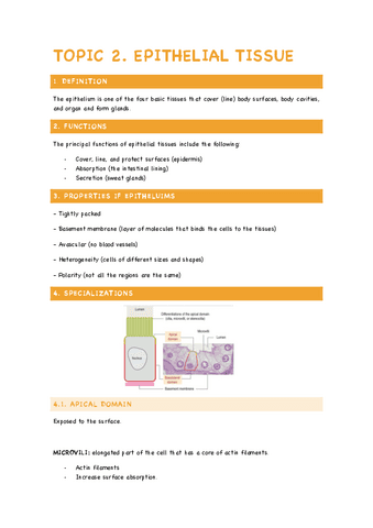 TOPIC-2-Epithelial-tissue.pdf
