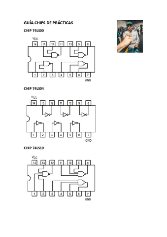 GUIA-CHIPS-DE-PRACTICAS.pdf