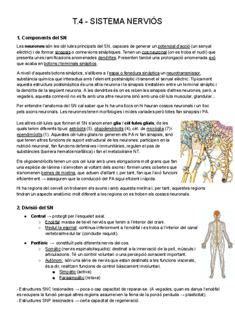T.4-Sistema-nervios.pdf