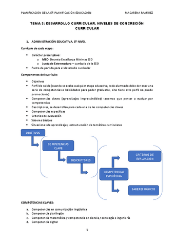 TEMA-3-PLANIFICACION.pdf