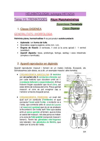 HELMINTOLOGIA.pdf